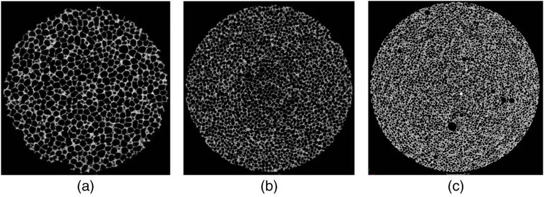 【Simpleware】通过基于 Micro-CT 重建的孔隙尺度模型和数值模拟研究泡沫混凝土的渗透特性 - 知乎
