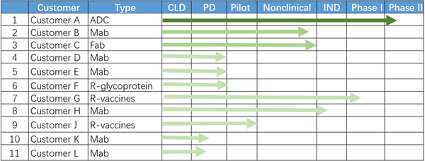 CHO-K1BN细胞株助力抗体药物开发 - 知乎