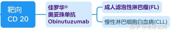 记住所有FDA生物药 | 靶向CD20 | 佳罗华®奥妥珠单抗 | 滤泡性淋巴瘤FL、慢性淋巴细胞白血病CLL - 知乎