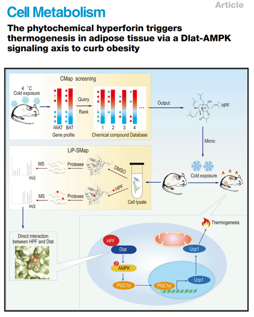 LiP-MS：限制性酶解-质谱分析技术服务 - 知乎