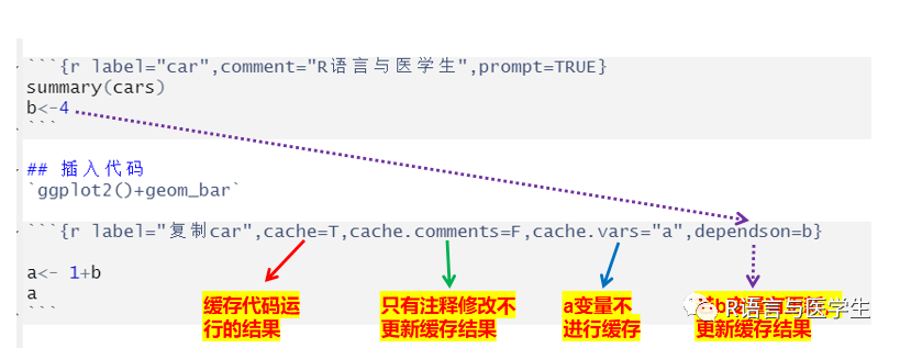 Rmarkdown学习-code chunk程序代码块 - 知乎