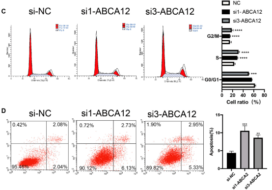 【文献解读】ABCA12敲除或可配合靶向药进行胰腺癌治疗 - 知乎