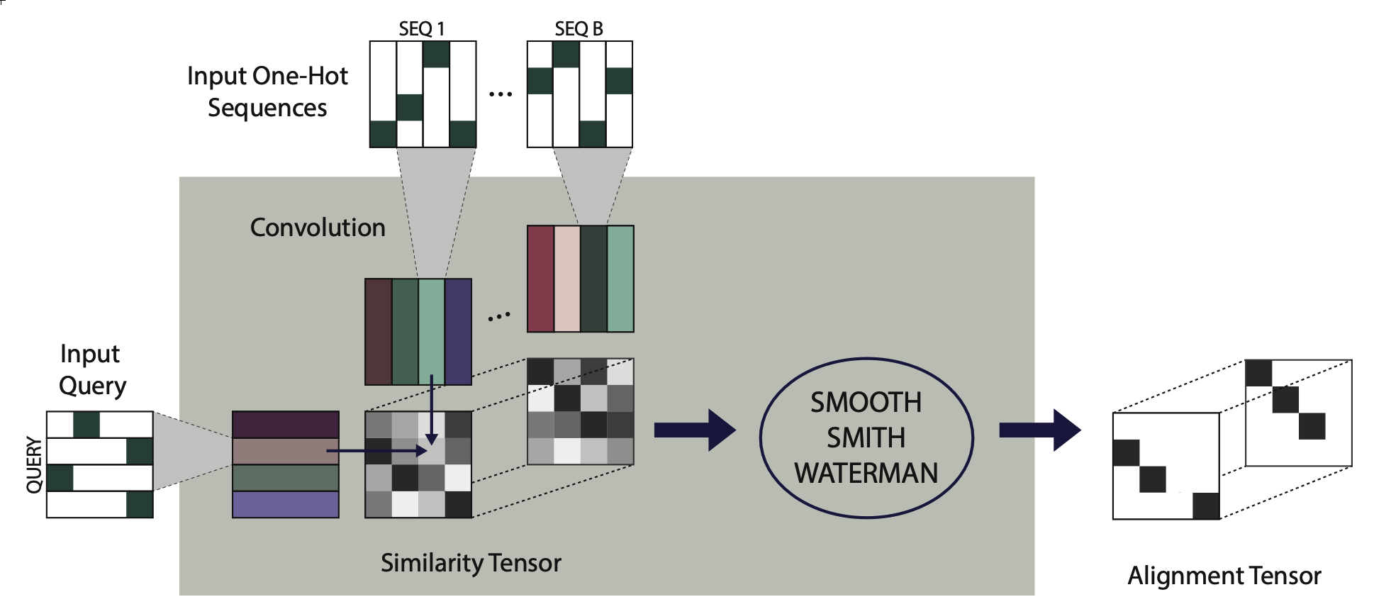 AI+蛋白设计｜可微Smith-Waterman端到端学习多序列对齐 - 知乎