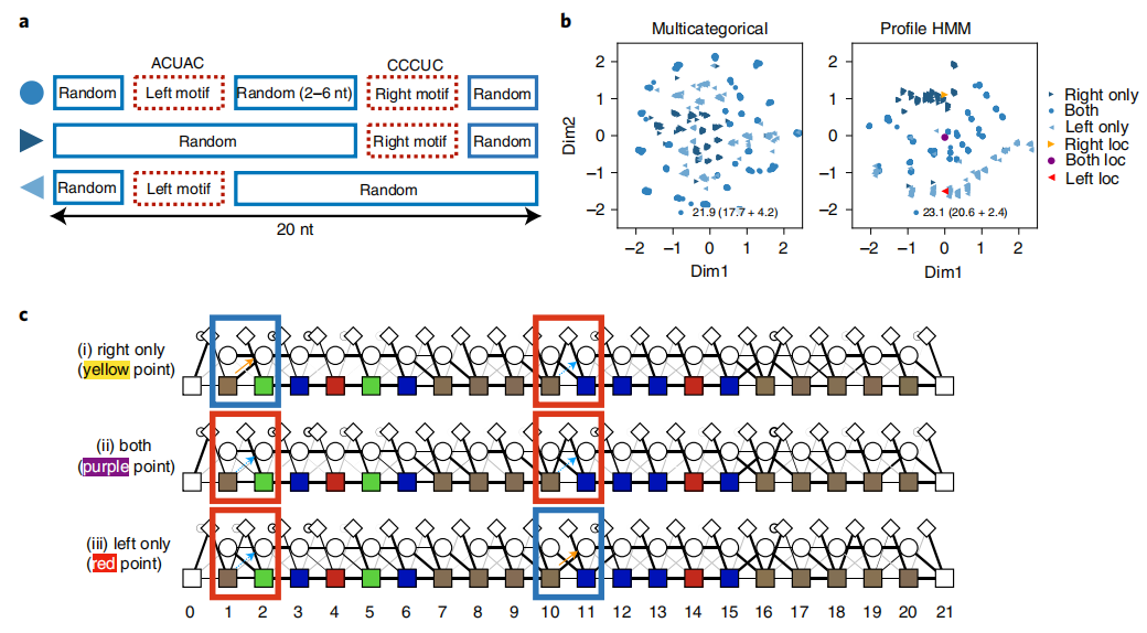 Nat. Com. Sci.｜使用RaptGen发现生成核酸适配体 - 知乎