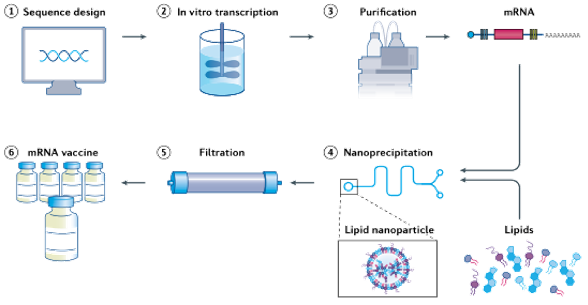 写意报告丨新型LNP递送系统，破局核酸药物“卡脖子” - 知乎