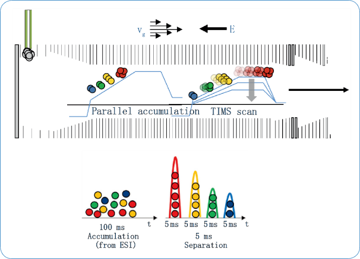 4D-PRM---更多更快更准！开启靶向蛋白组学应用新时代 - 知乎
