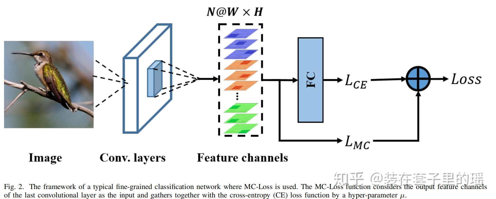 Mutual - Channel Loss For FGVC - 知乎