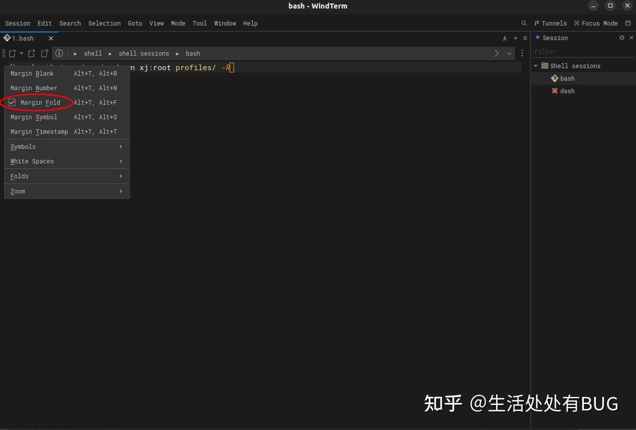 Windterm-SSH/Sftp/Shell/Telnet/Serial 客户端 - 知乎