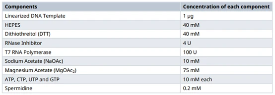 【耀文解读】mRNA IVT篇︱自扩增mRNA（saRNA）体外转录的实验设计优化 - 知乎
