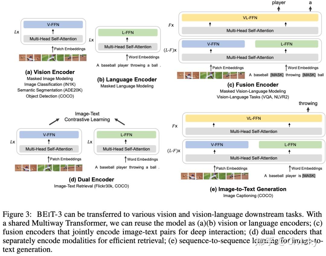 BEiT-3：将图像视为一种外语：用于视觉和视觉-语言任务的BEiT预训练(速读版) - 知乎