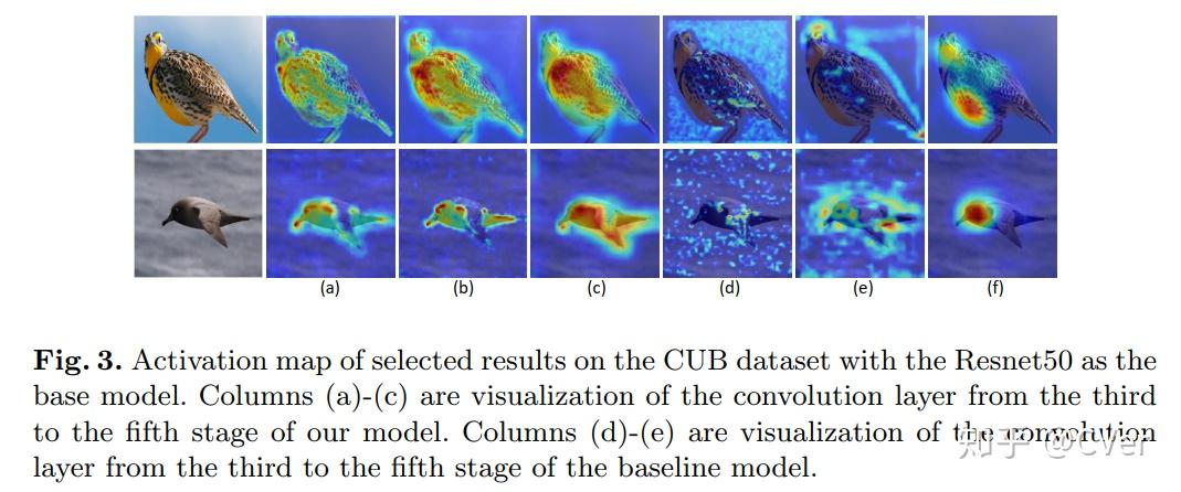 ECCV 2020 | 北邮提出PMG：通过渐进式多粒度拼图训练进行细粒度视觉分类 - 知乎