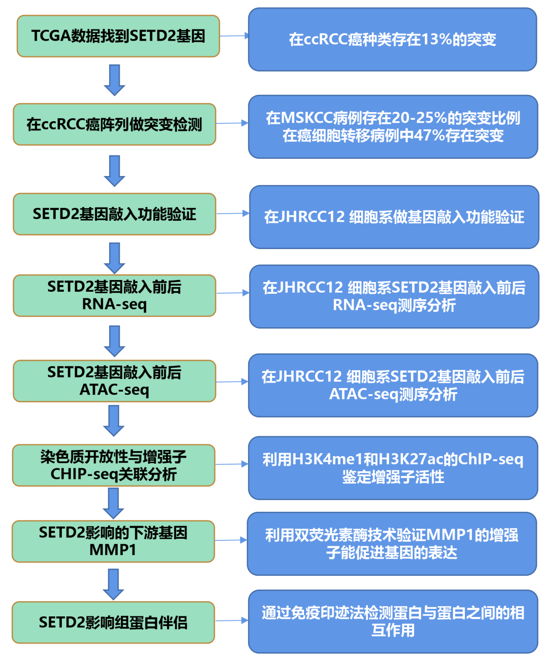 SETD2的缺失到底如何促进癌细胞的转移？ - 知乎