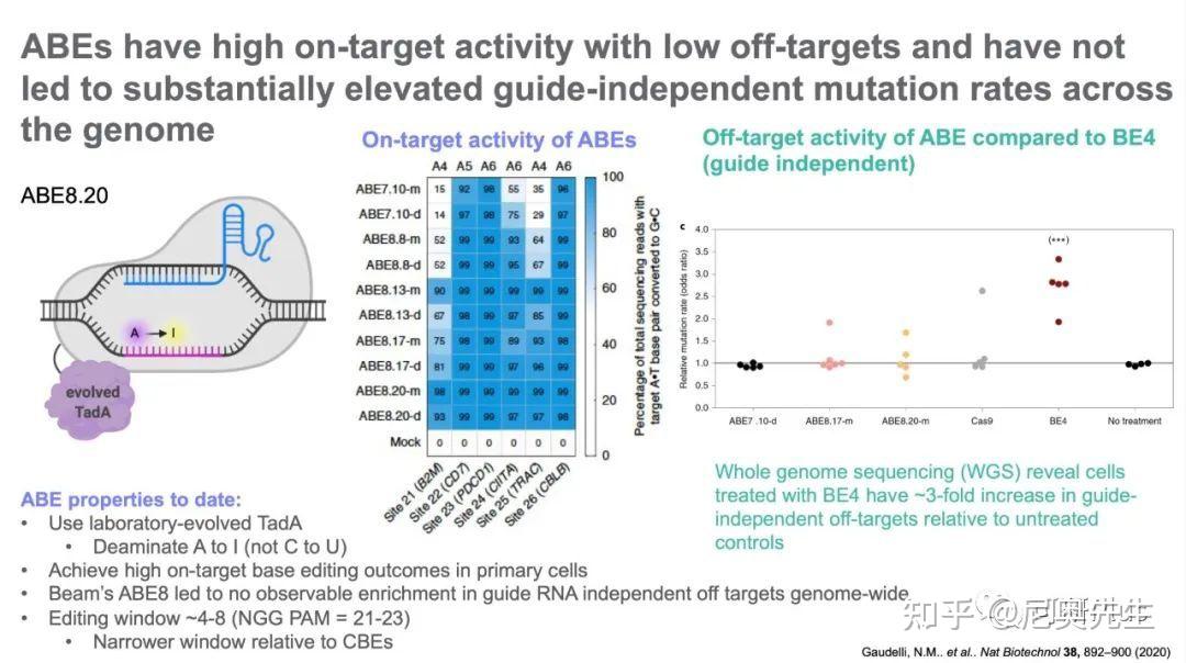 CBE-T：TadA介导的下一代CBE编辑器 - 知乎