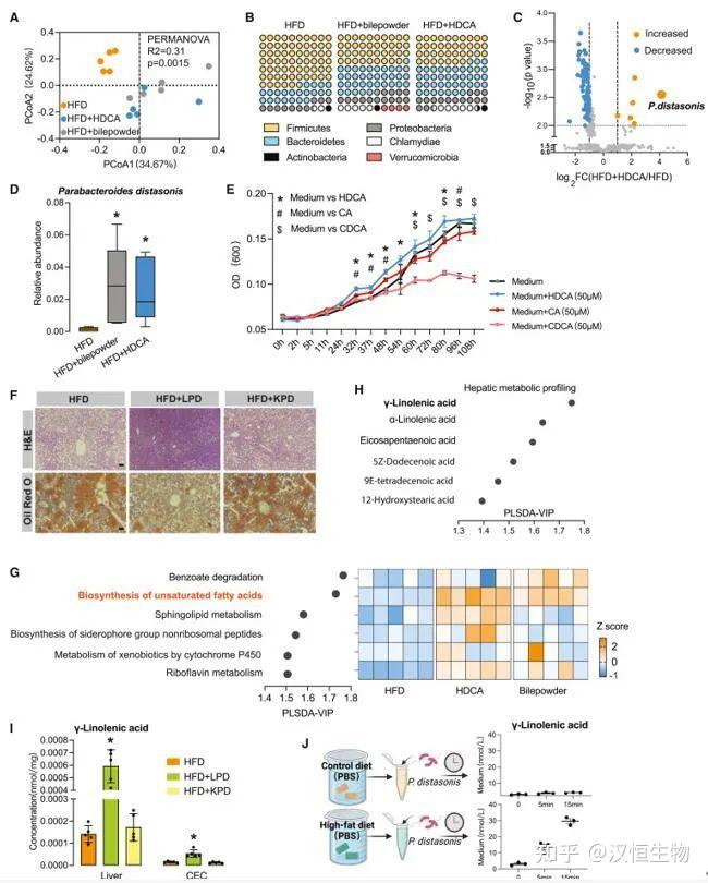 IF= 29.0丨首次揭示HDCA对NAFLD的治疗潜力及机制 - 知乎