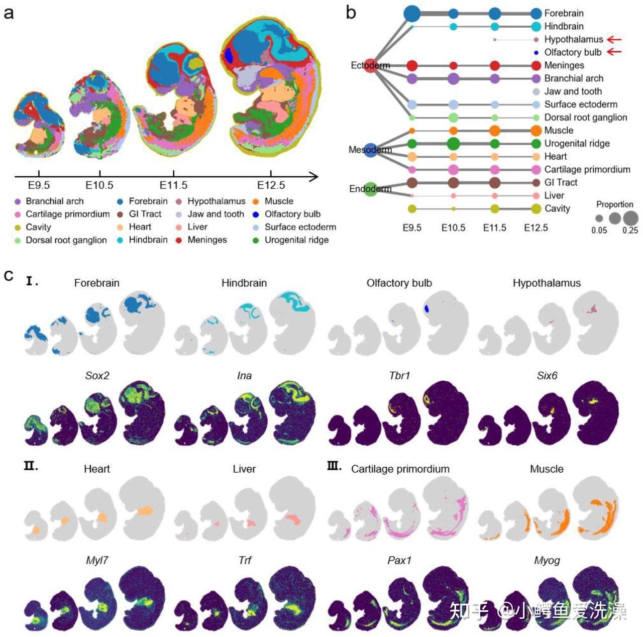STAligner论文阅读整理 - 知乎