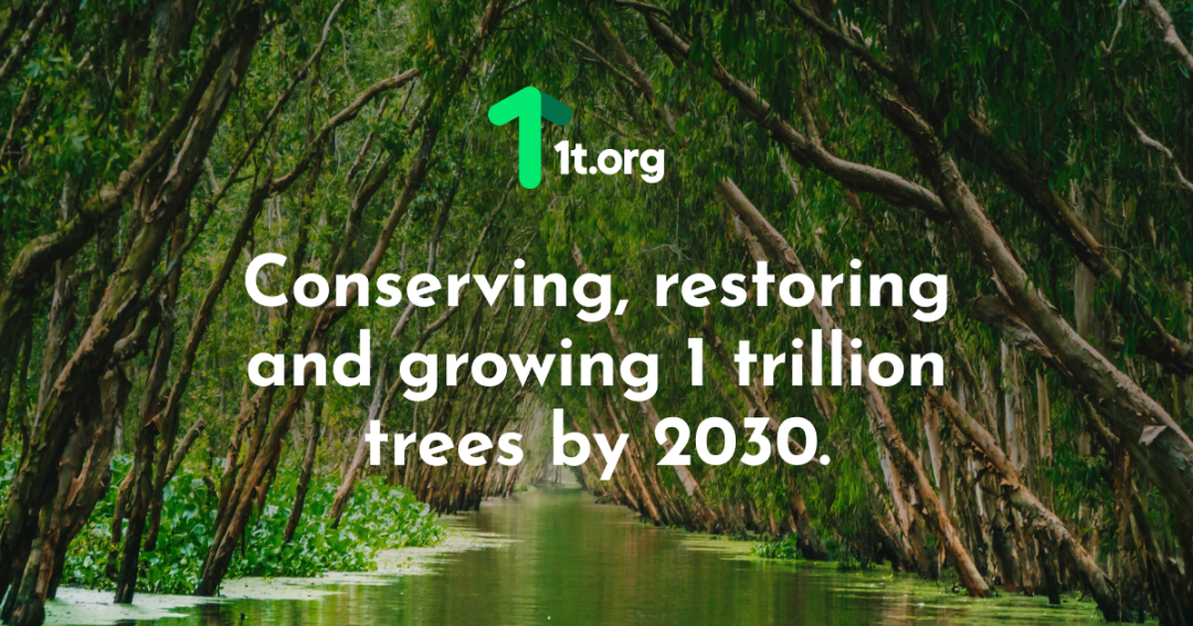 公益慈善｜保护森林很难吗？ - 知乎