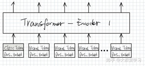 图解+代码 Swin Transformer 2: SW-MSA(Shifted Window Multi-head Self Attention) - 知乎