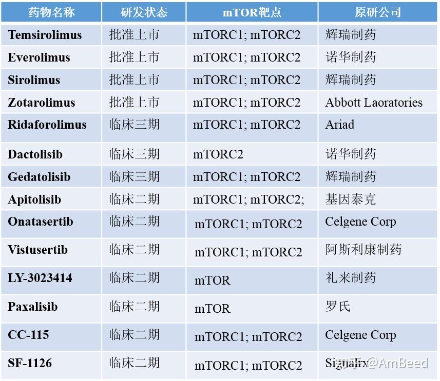 【AmBeed解读】mTOR的作用靶点及作用机制的分析 - 知乎