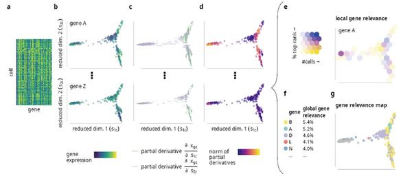 单细胞·拟时轨迹 | Destiny - 知乎
