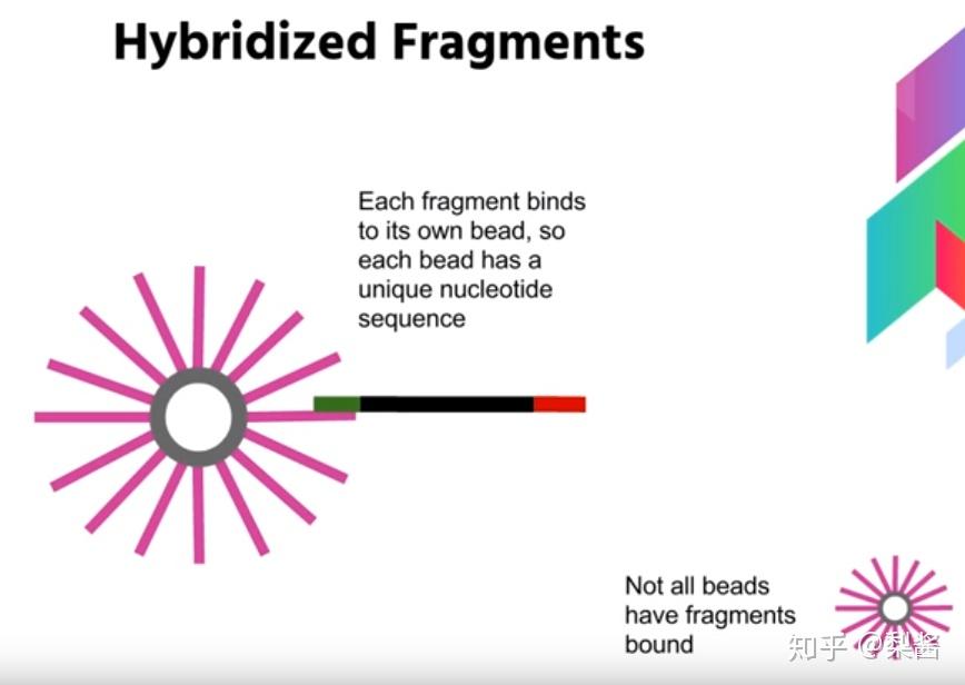 [生信资料 2] ABI公司的SOLiD测序技术详解 - 知乎