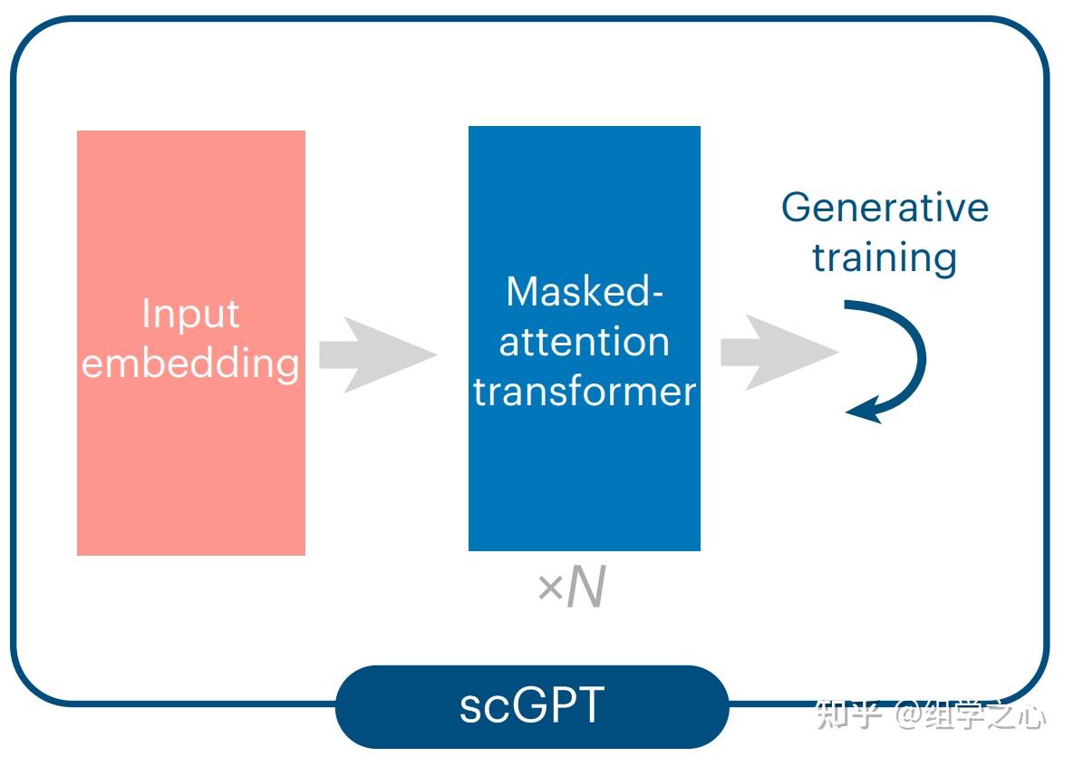 单细胞组学大模型（3）--- scGPT，有非常详细的学习文档和应用说明，且有多种训练数据权重！ - 知乎