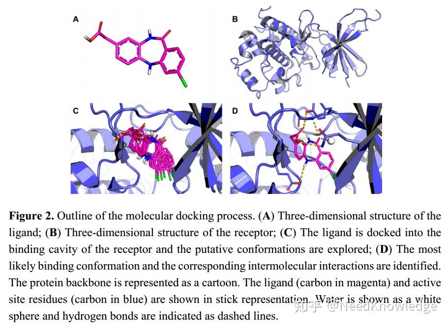 Molecular Docking and Structure-Based Drug Design Strategies - 知乎