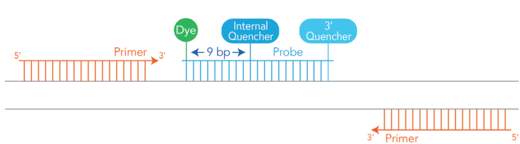 dPCR检测病原微生物的“禅（ZEN）”与“道（TAO)” - 知乎