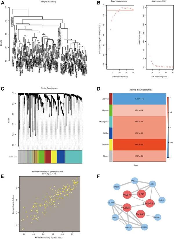 4+WGCNA非肿瘤生信分析文章，学会这个思路，让你发表SCI如同开外挂！！！ - 知乎