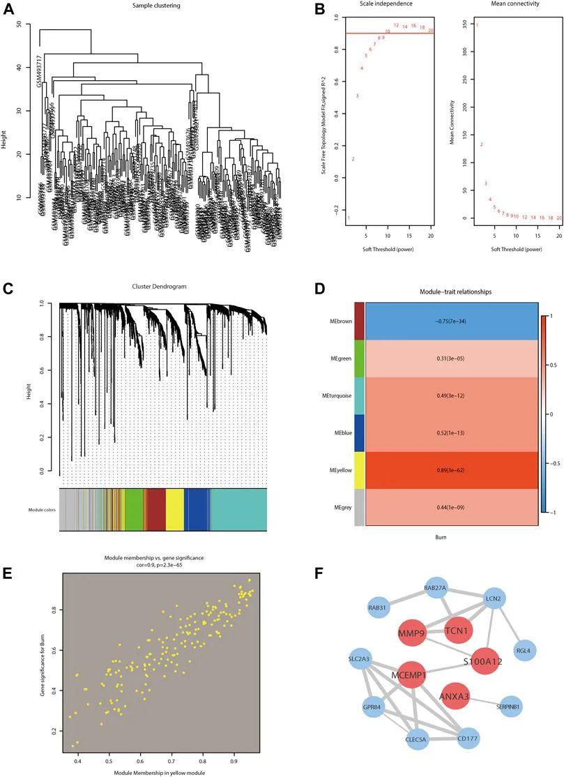 4+WGCNA非肿瘤生信分析文章，学会这个思路，让你发表SCI如同开外挂！！！ - 知乎