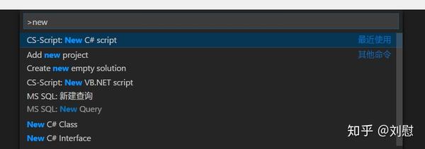 在 VS Code 中使用 CS-SCRIPT 插件实现单文件中的智能感知 - 知乎