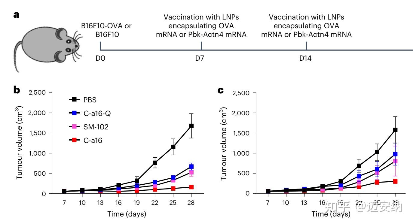 Nature Biomedical Engineering宫宁强教授开发抗氧化脂质，1倍提高mRNA-LNP的基因编辑和免疫效果 - 知乎