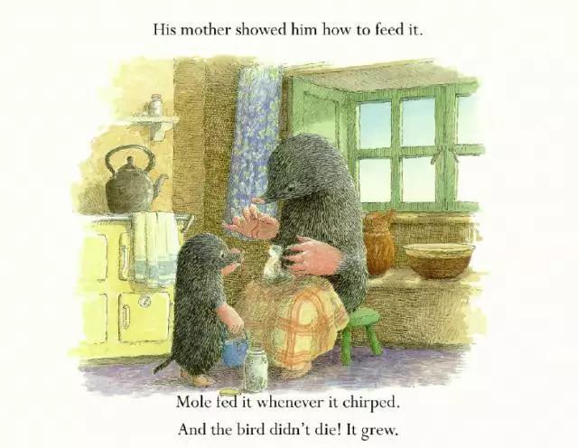 绘本故事 | Mole And The Baby Bird - 知乎