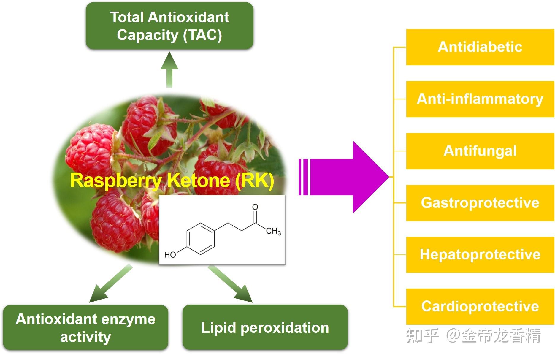 香精与香料(71)—覆盆子酮(Raspberry ketone) - 知乎