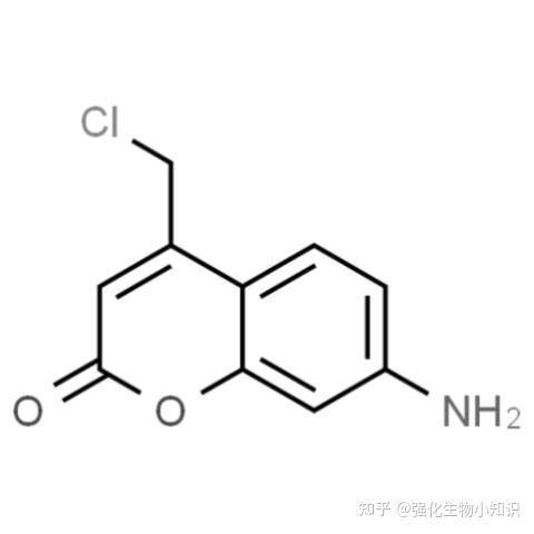 Cell-Tracker Blue CMAC 悬浮细胞的染色步骤（CAS号：147963-22-2） - 知乎