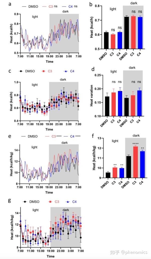 Phenomics|复旦大学生命科学学院鲁伯埙教授、付玉华青年副研究员揭示自噬途径清除脂滴改变肥胖-糖尿病小鼠的代谢表型 - 知乎