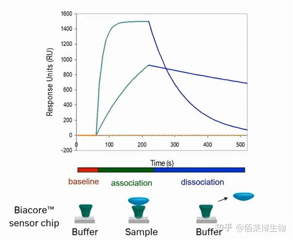利用Biacore技术助力诊断原料开发 - 知乎