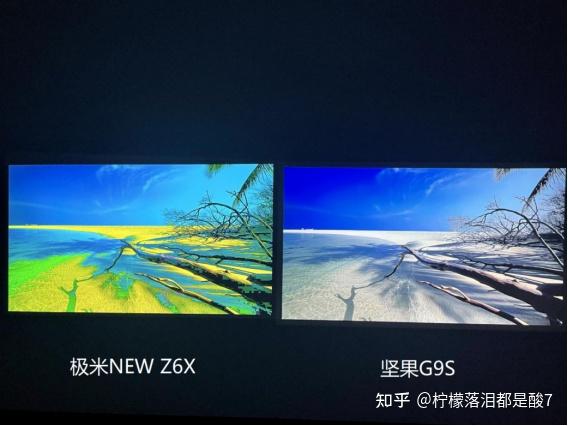 高级又走心的情人节礼物：坚果G9S vs 极米New Z6X，爱TA就送更好的！ - 知乎