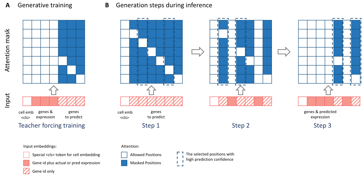 AI for Biology，大模型怎么玩转单细胞测序？ - 知乎