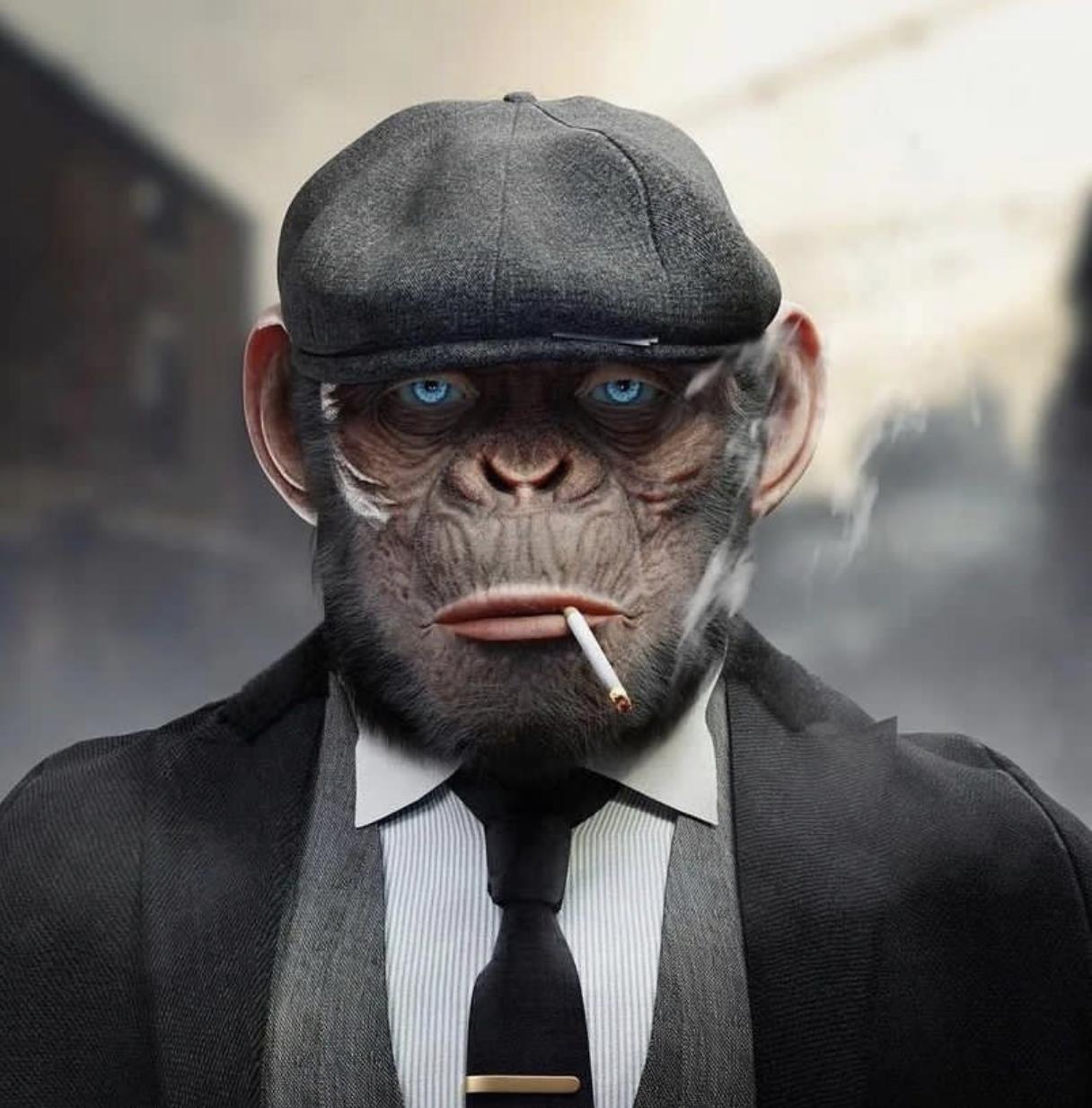 元宇宙NFT艺术作品赏析【1】 - 知乎