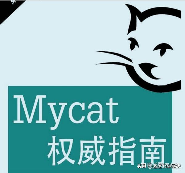 想学好Mycat？快看这份Mycat 权威指南！！！ - 知乎