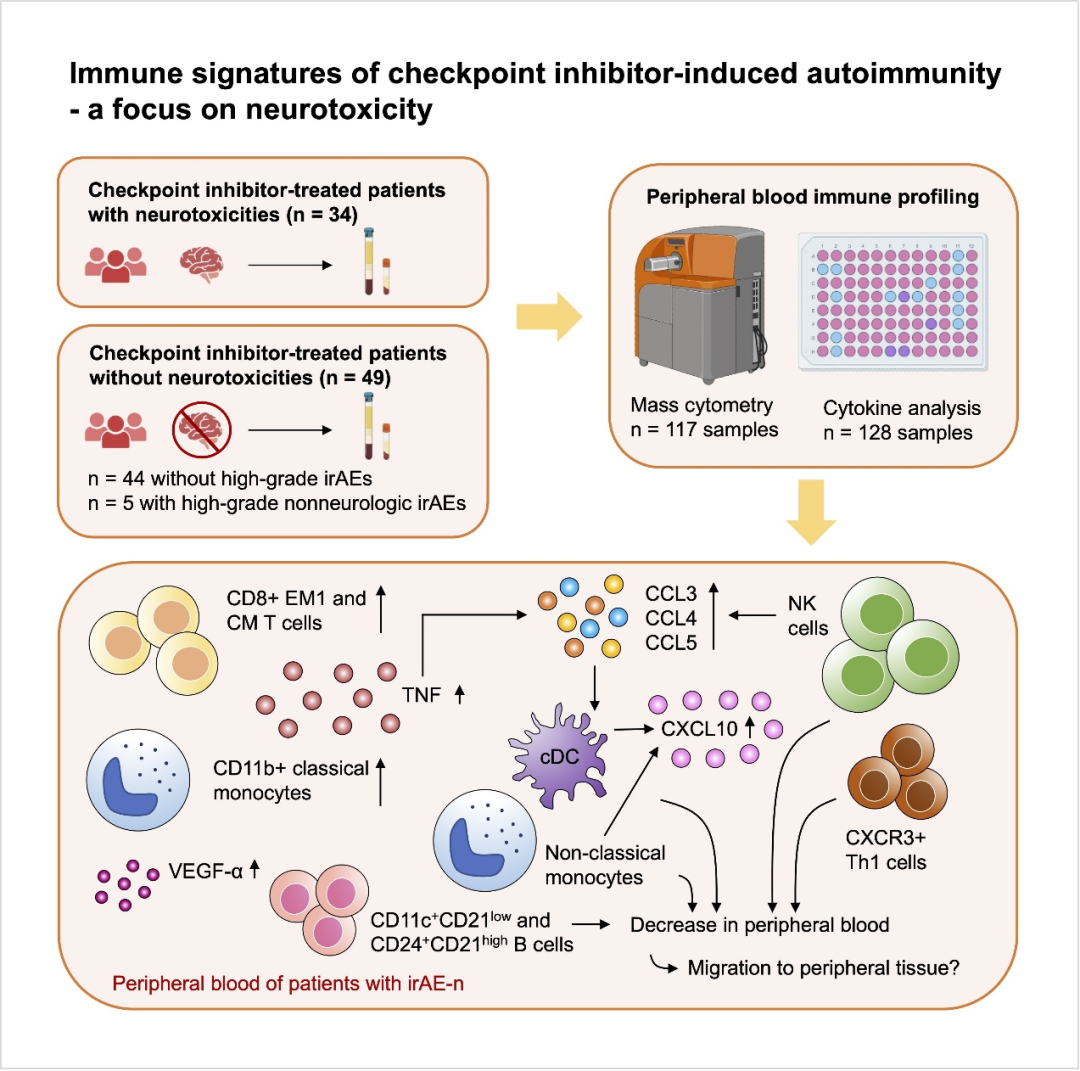 Neuro Oncol（IF=15.9）：质谱流式（CyTOF）揭示免疫治疗相关不良事件的细胞亚群标志物 - 知乎
