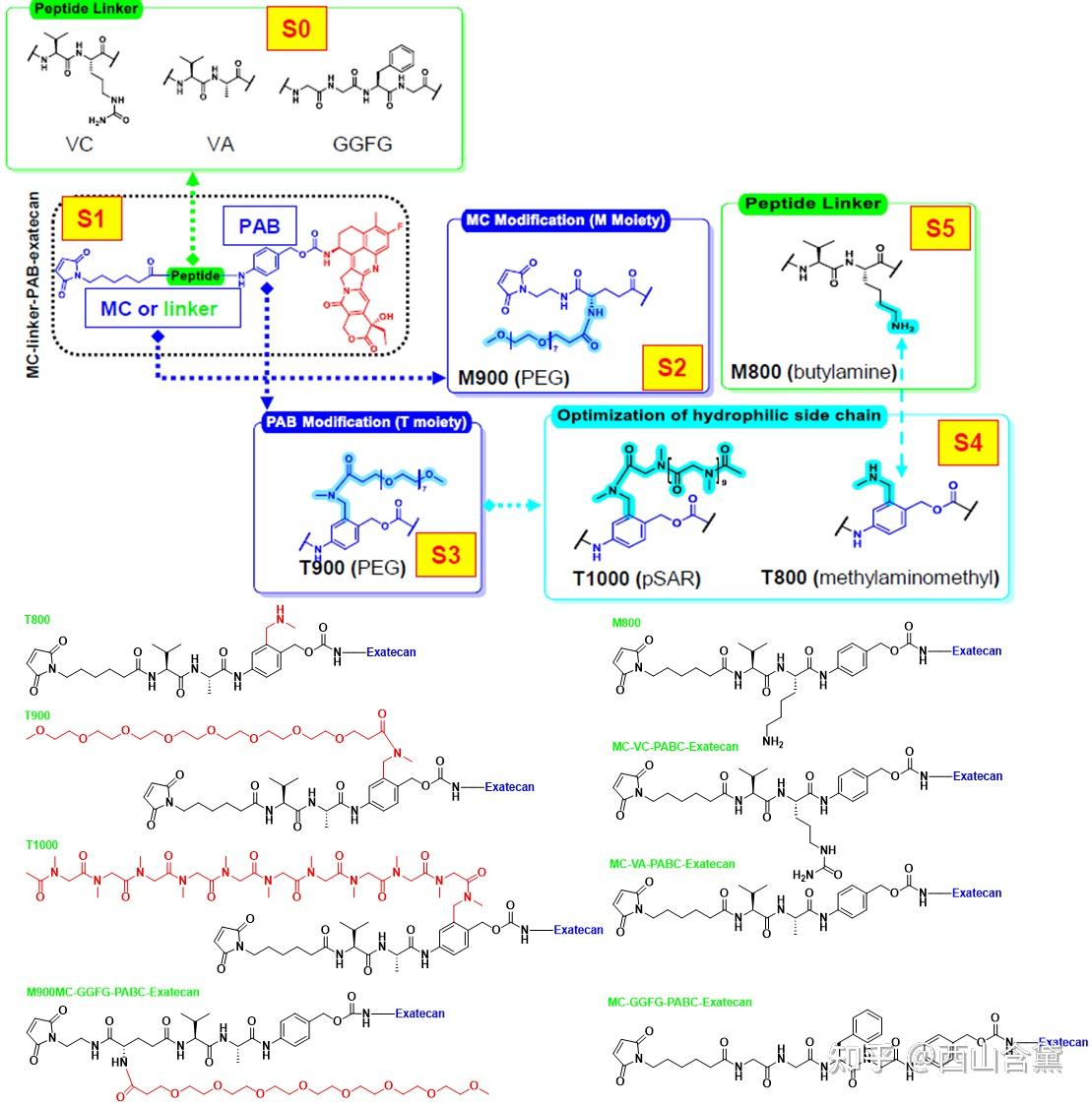 国内外知名企业ADC技术平台(第八期，普众发现) - 知乎