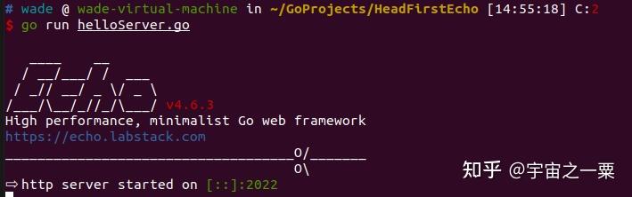 回声嘹亮之 Go 的 Echo 框架上手初体验 - 知乎