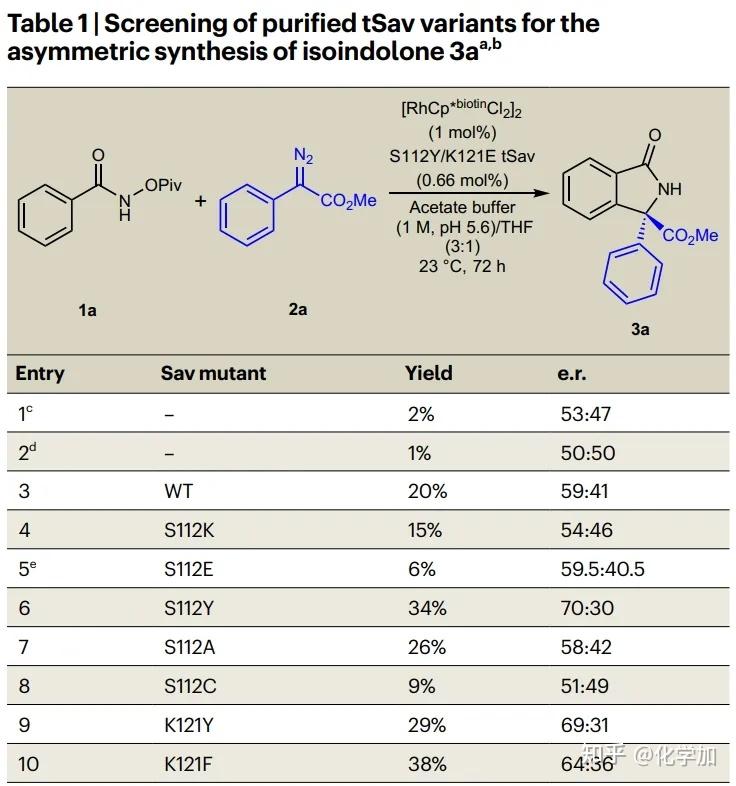 Nat. Synth.：Rh(III)人工金属酶催化，实现异吲哚酮的对映发散合成 - 知乎