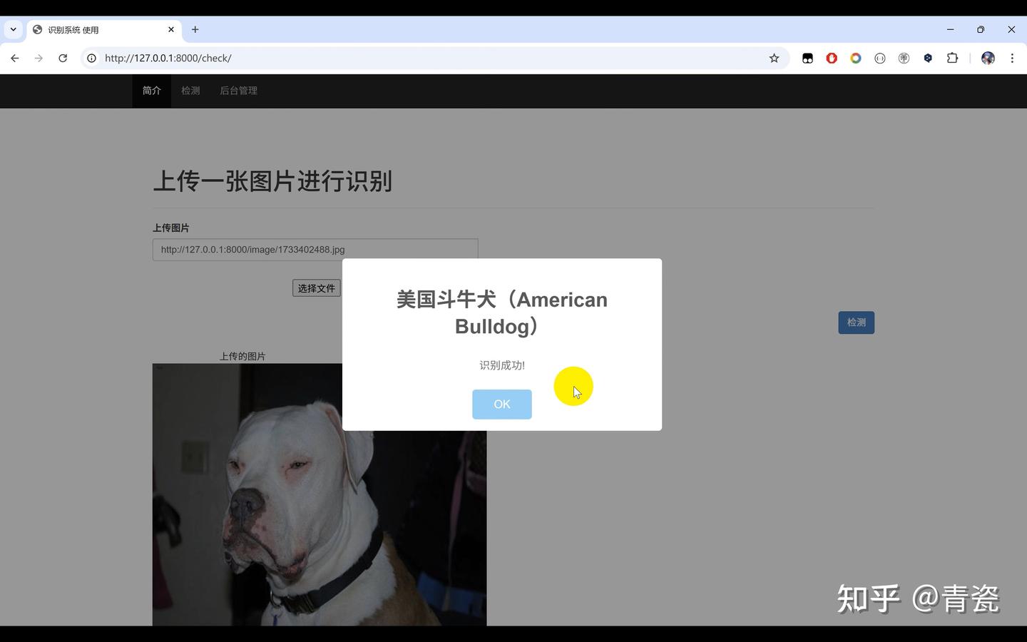 猫狗宠物识别系统pythontensorflow人工智能深度学习卷积网络算法 知乎 