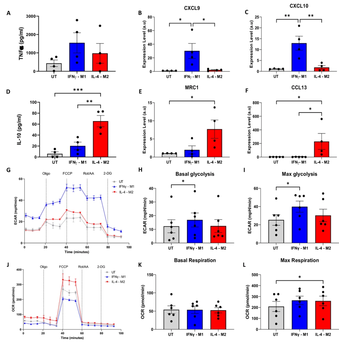 eLife | AI影像对巨噬细胞进行分类 - 知乎