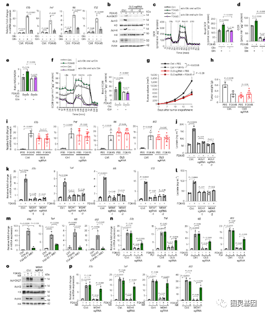 Nat Immu | CD40信号通过代谢重编程刺激巨噬细胞的抗肿瘤效应 - 知乎