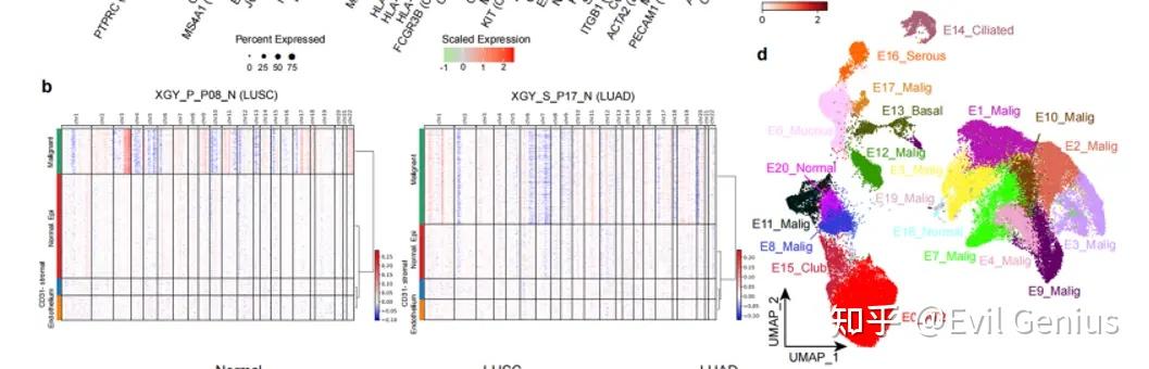CNV检测--单细胞空间vs基因组WGS/WES - 知乎