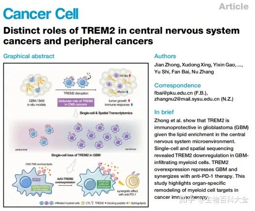 项目文章｜Cancer Cell-TREM2在中枢神经系统癌症和外周肿瘤中的独特作用 - 知乎