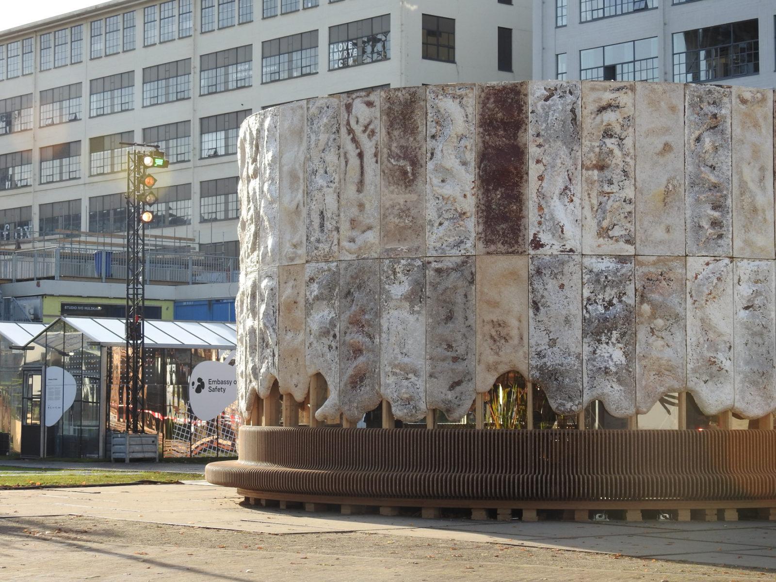 设计物语｜人类世背景下真菌如何重塑建筑设计 - 知乎